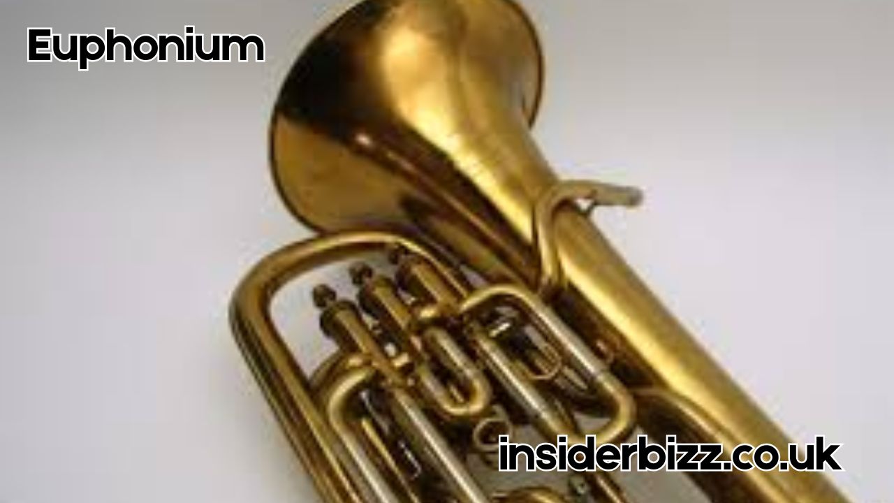 The Euphonium: A Complete Guide to the Warm Voice of Brass - InsiderBizz