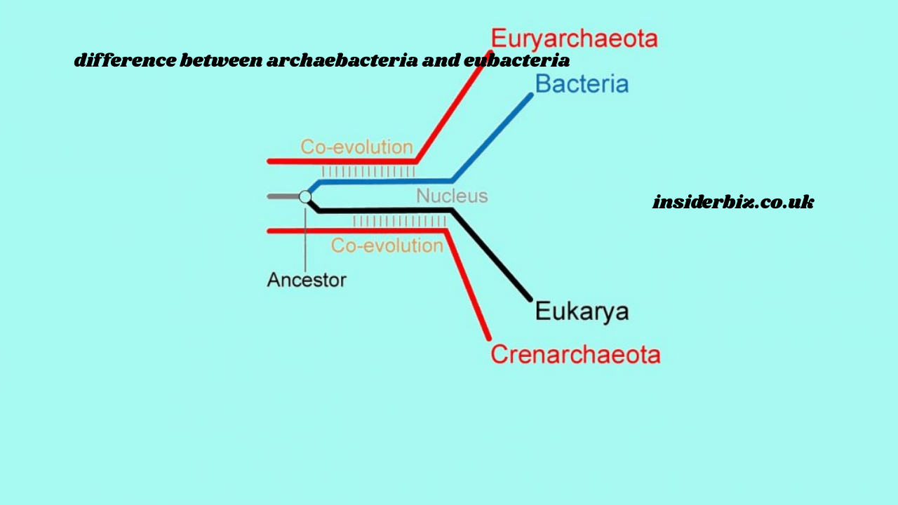 Difference Between Archaebacteria and Eubacteria Explained - InsiderBizz
